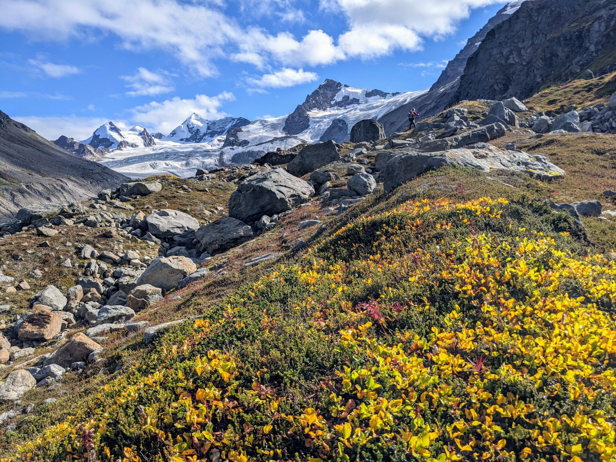 Trip Report: Fan Glacier Basecamp Hiking Trip - St. Elias Guides